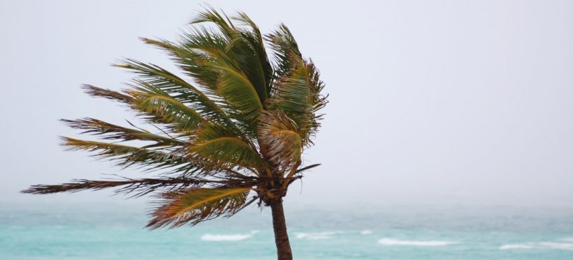 How Much Wind for Kiteboarding? 8 Factors To Know About